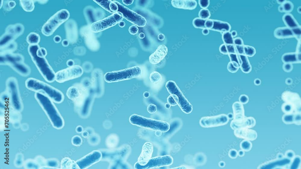 Enterobacteriaceae, gram-negative rod-shaped bacteria, part of ...
