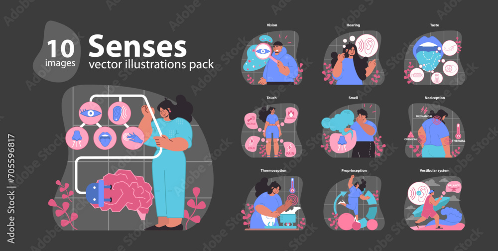 Senses set. Human sensory organs and functions. Interaction of smell ...