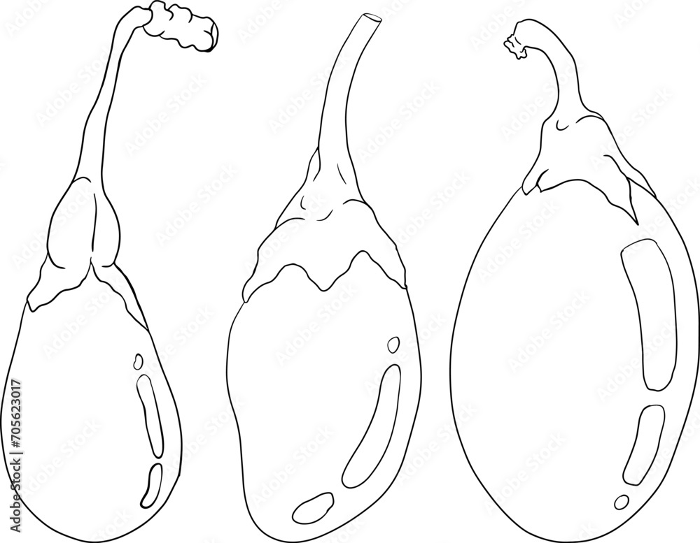 Hand drawn Goji berries. Engraving vector illustration isolated on ...