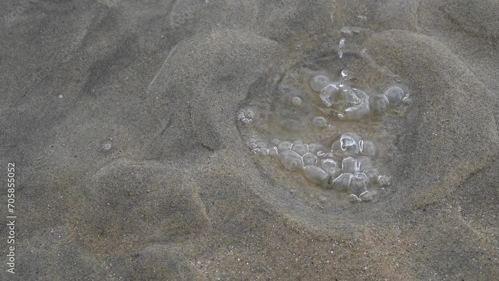 Water bubbles bubble on the beach in the sea beach sand. Splashes and ...