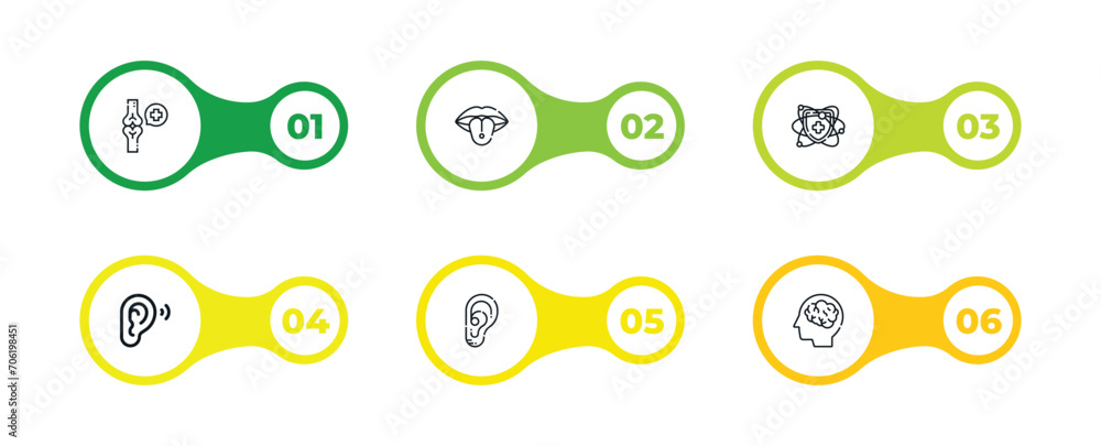 bones joint, mouth open, immune system, ear lobe side view, human ear ...