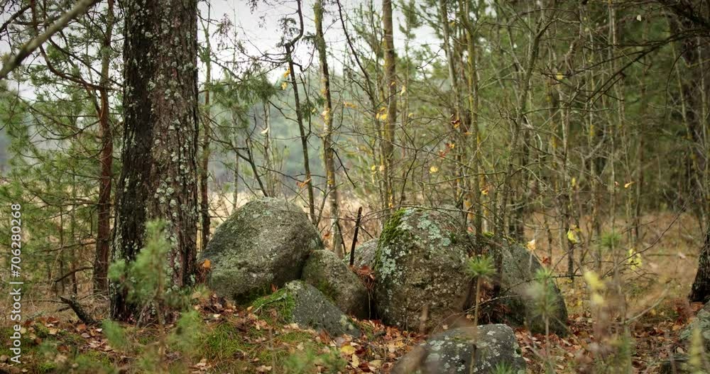 Vidéo Stock remains of ancient Slavic temple. Babtsy, Vitebsk Region ...