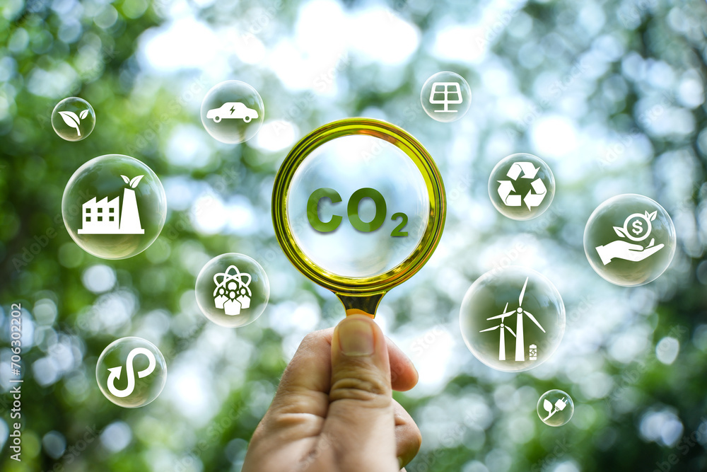 Concepts about the issue of carbon dioxide emissions and their impact on nature In the form of a ...