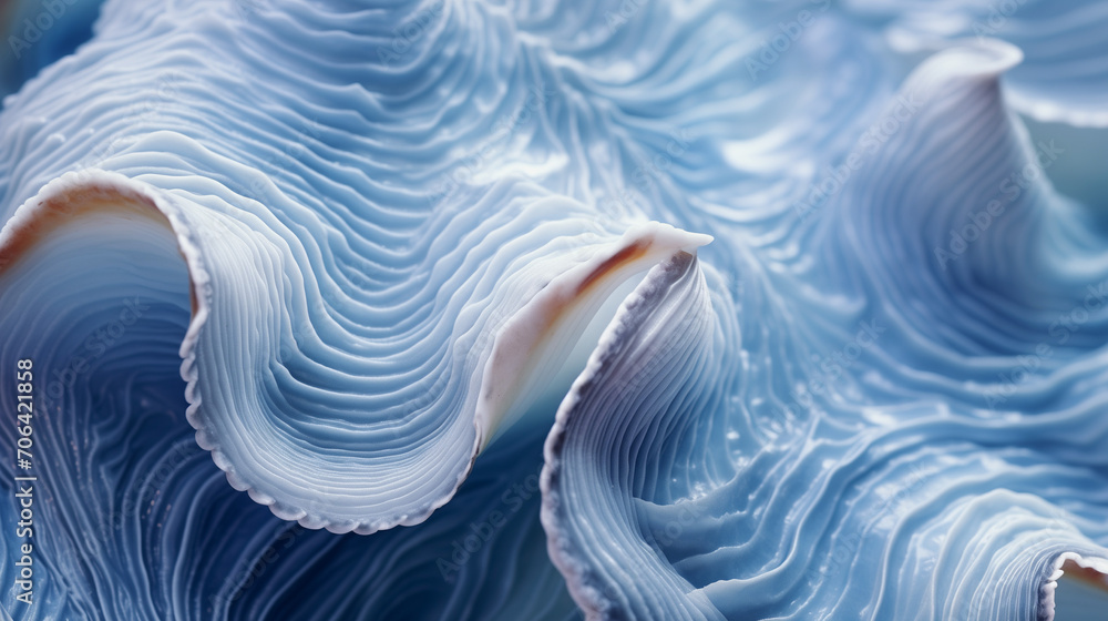 abstract blue background, Giant clam texture macro. Beautiful sea shell ...