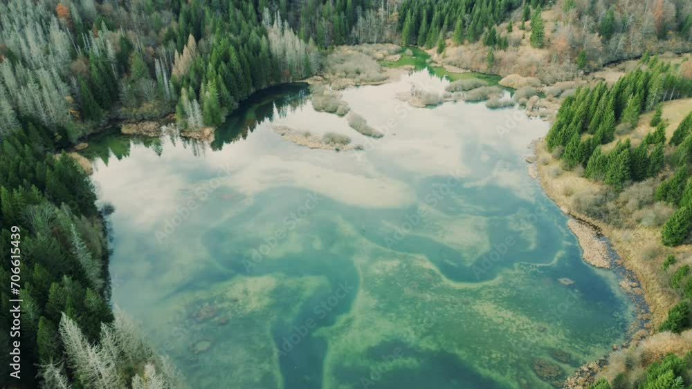 4K Aerial view of green forest with tall pine trees and blue emerald ...