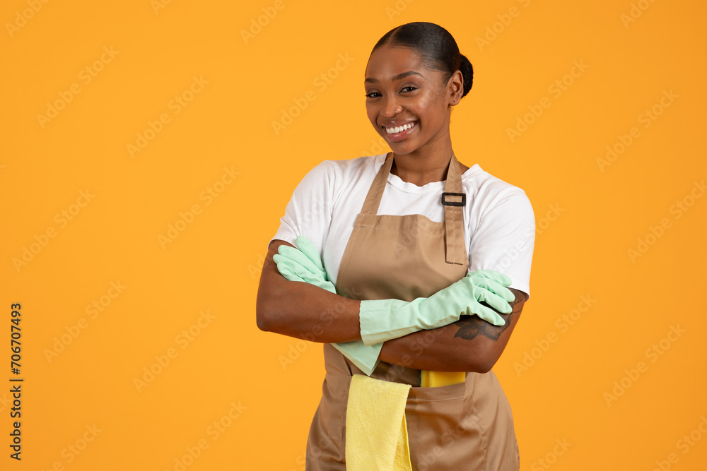 african american lady cleaner in apron posing crossing hands, studio Photos | Adobe Stock