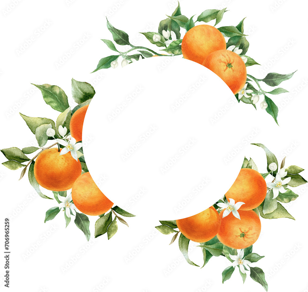 Orange fruit border frame. Watercolor illustration isolated on ...