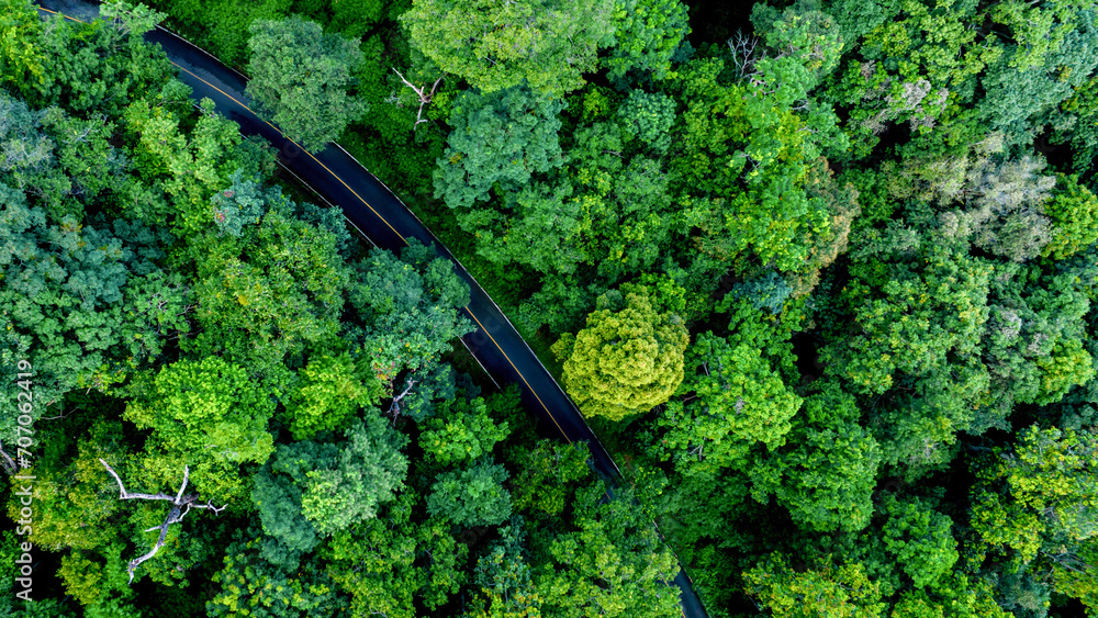 Aerial top view road in forest with car motion blur. Winding road ...