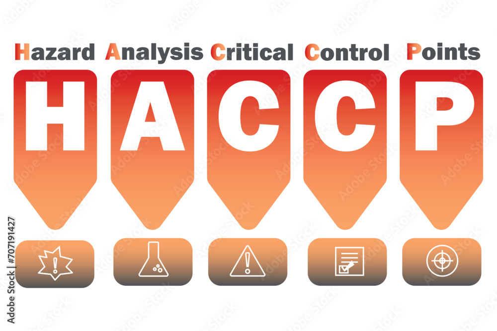 HACCP - Hazard Analysis and Critical Control Points concept vector illustration. Introduction to ...