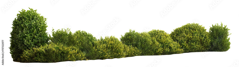 Green garden bushes cut out Stock 写真 | Adobe Stock
