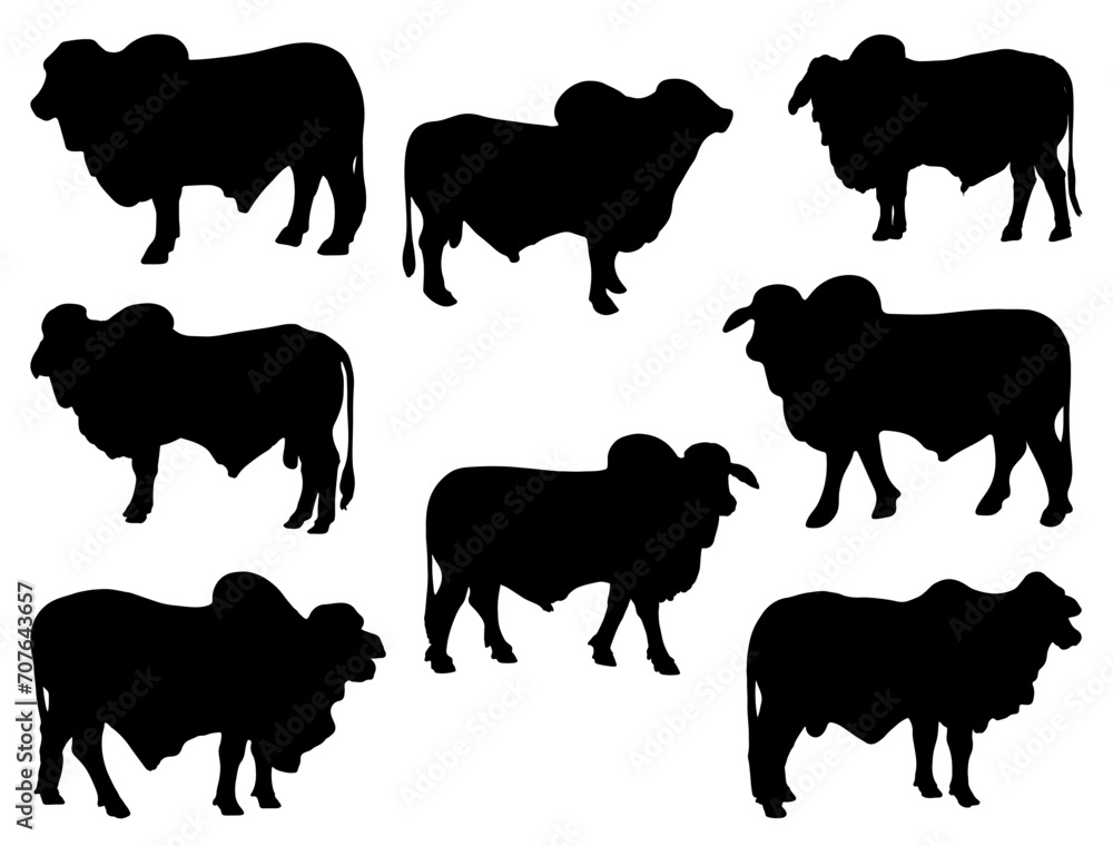 Photo & Art Print Brahman Bull silhouette vector art white background ...