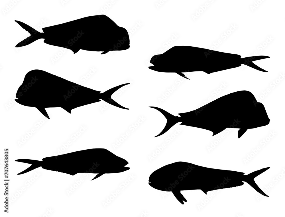Mahi Mahi Fish silhouette vector art white background Stock Vector ...