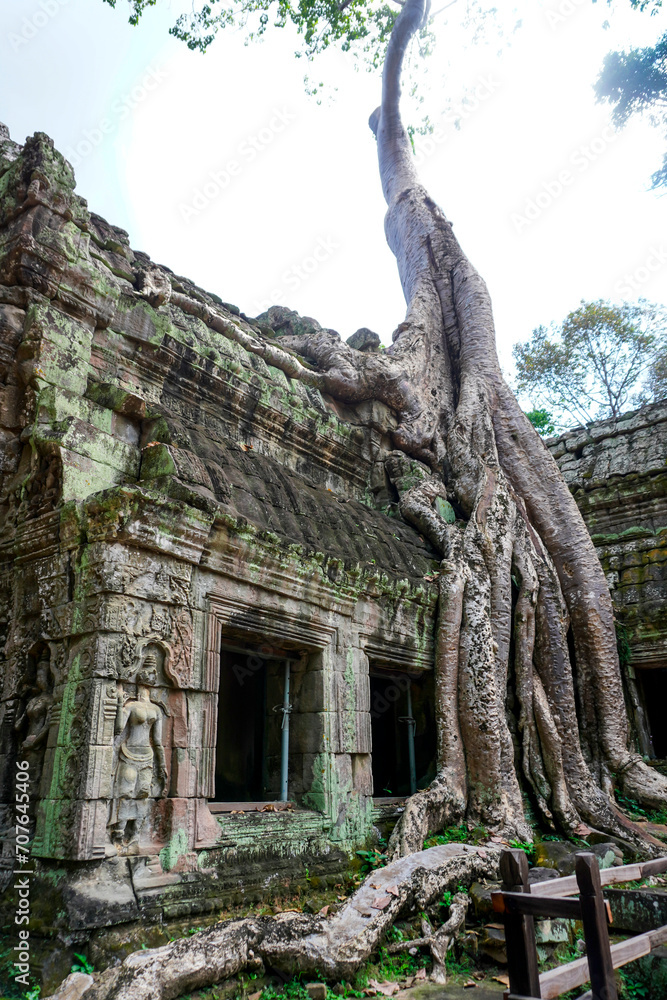 Siem Reap, Cambodia -December 11, 2023 : Angkor Wat temple complex in ...