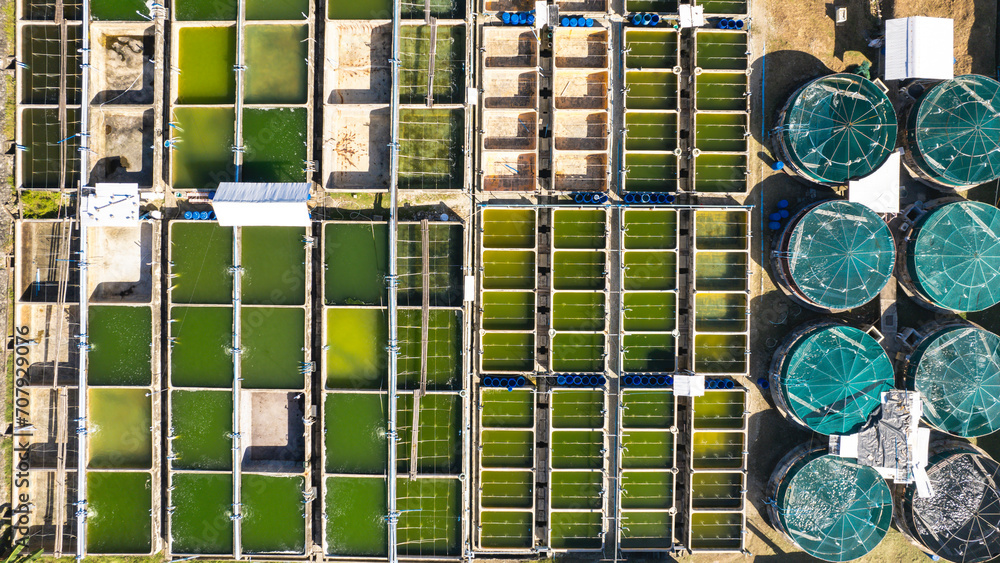 Aerial of a commercial fish pond farm. A large scale private hatchery ...