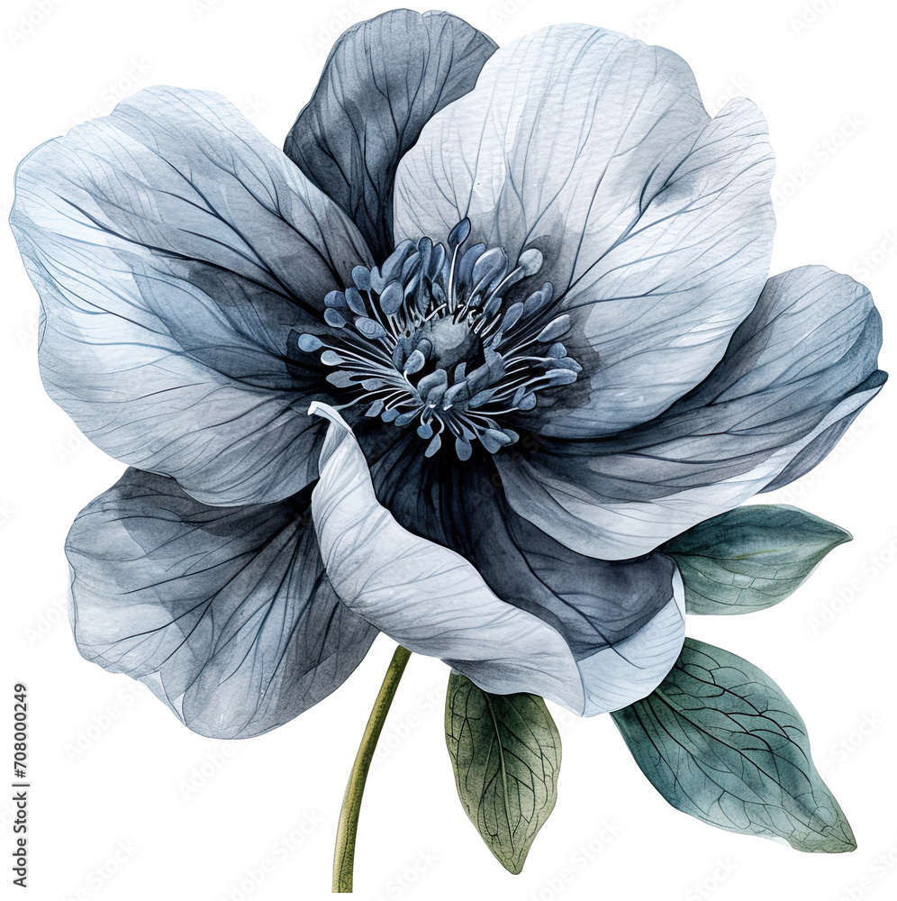 Watercolor grey flower clipart hand drawn , wedding invitations ...