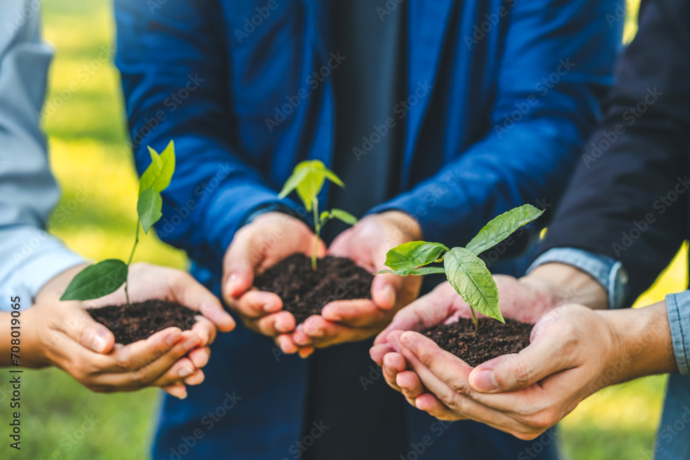 Environmental Collaboration in green business people conserve the green ...