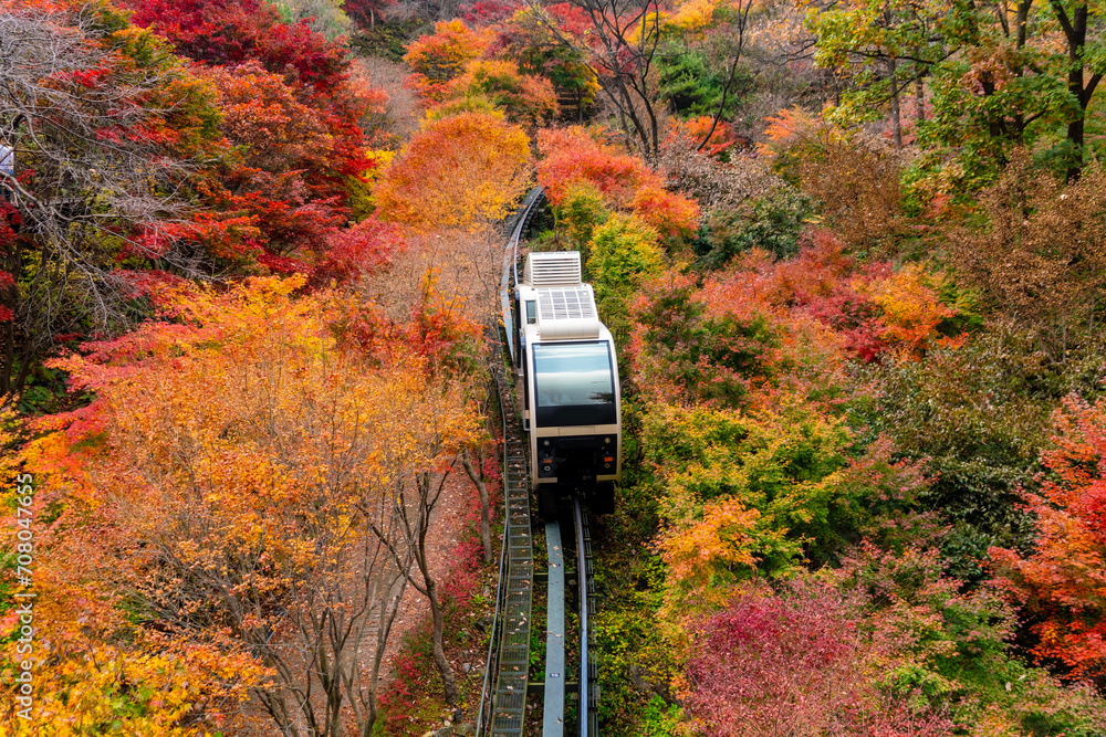 monorail takes tourists to see the scenery in Hwadam Forest Botanic ...