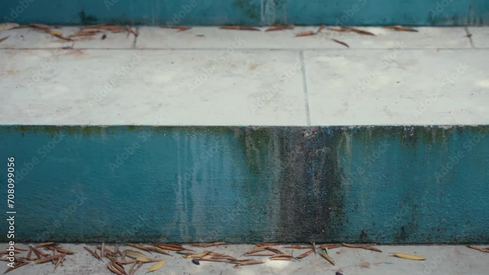 Old abandoned dirty pool with muddy water and swimming person, leading ...