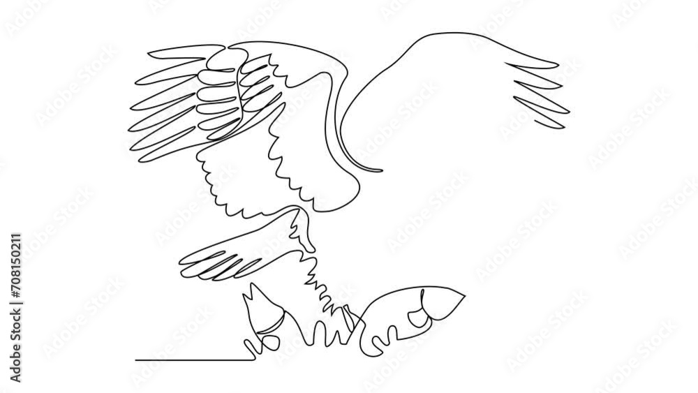 Animated self drawing of an eagle is preying on fish in the sea video ...