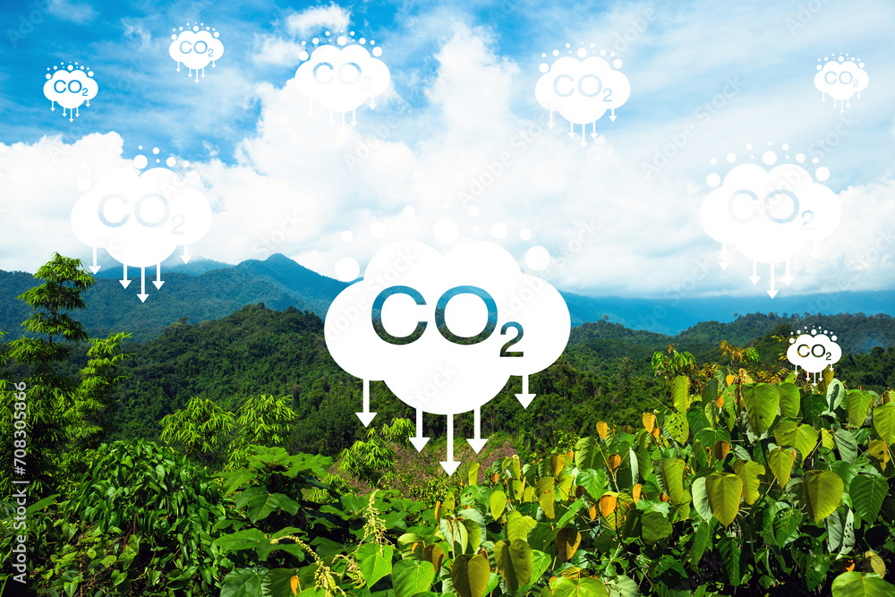 The concept of carbon dioxide emissions and their impact on nature in ...