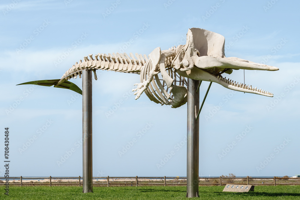 MORRO JABLE, PÁJARA, FUERTEVENTURA, CANARY ISLANDS, SPAIN - MARCH 21 ...