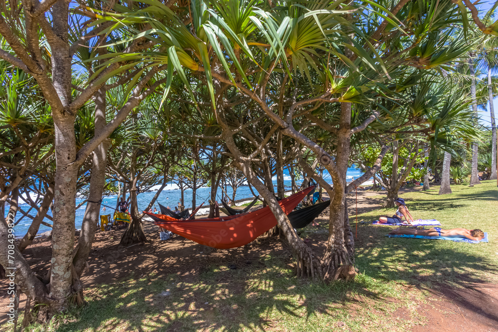 Hamac sous les vacoas, plage de Grande Anse, île de la Réunion Stock ...