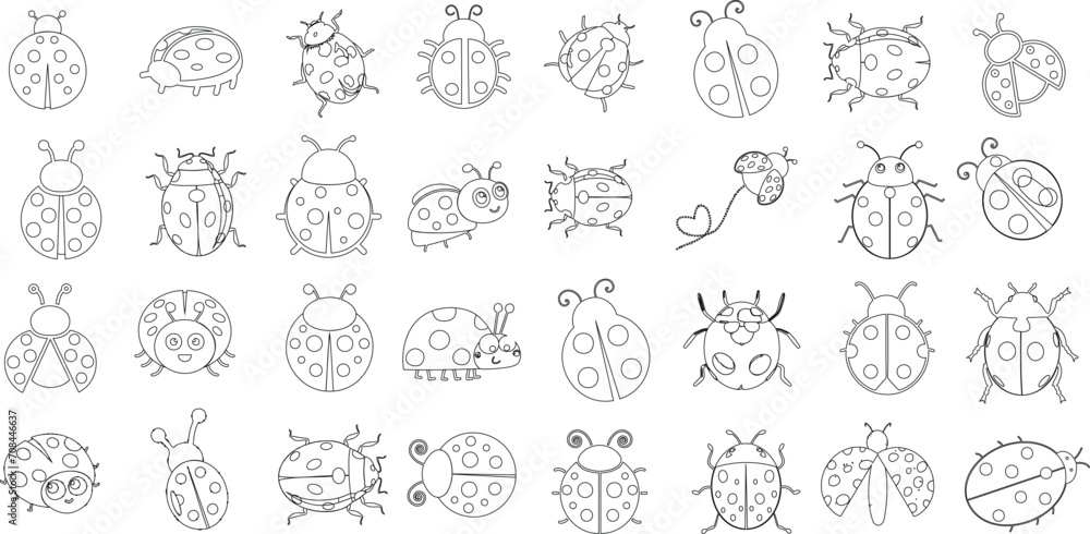 Ladybug illustrations, ladybugs line art, coloring book designs, nature ...
