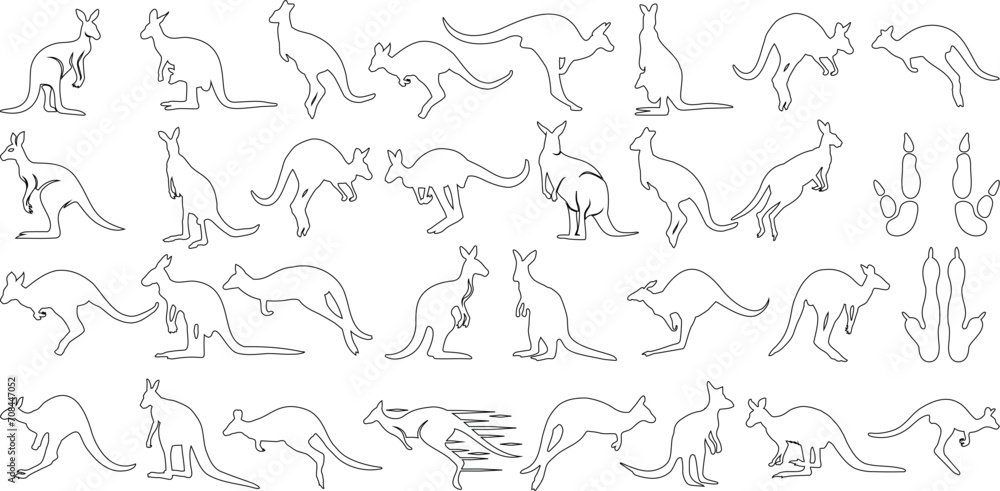 Kangaroo line art, kangaroos vector illustrations. Black outlines on ...