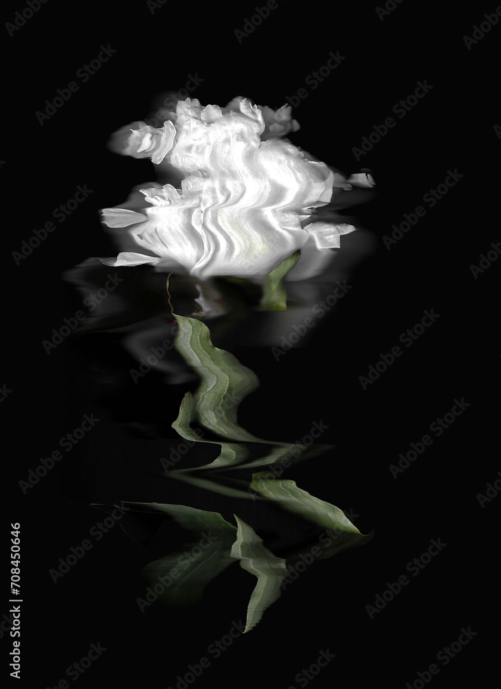 Flower scan background. Scanned flat peony bouquet. Abstract distorted ...