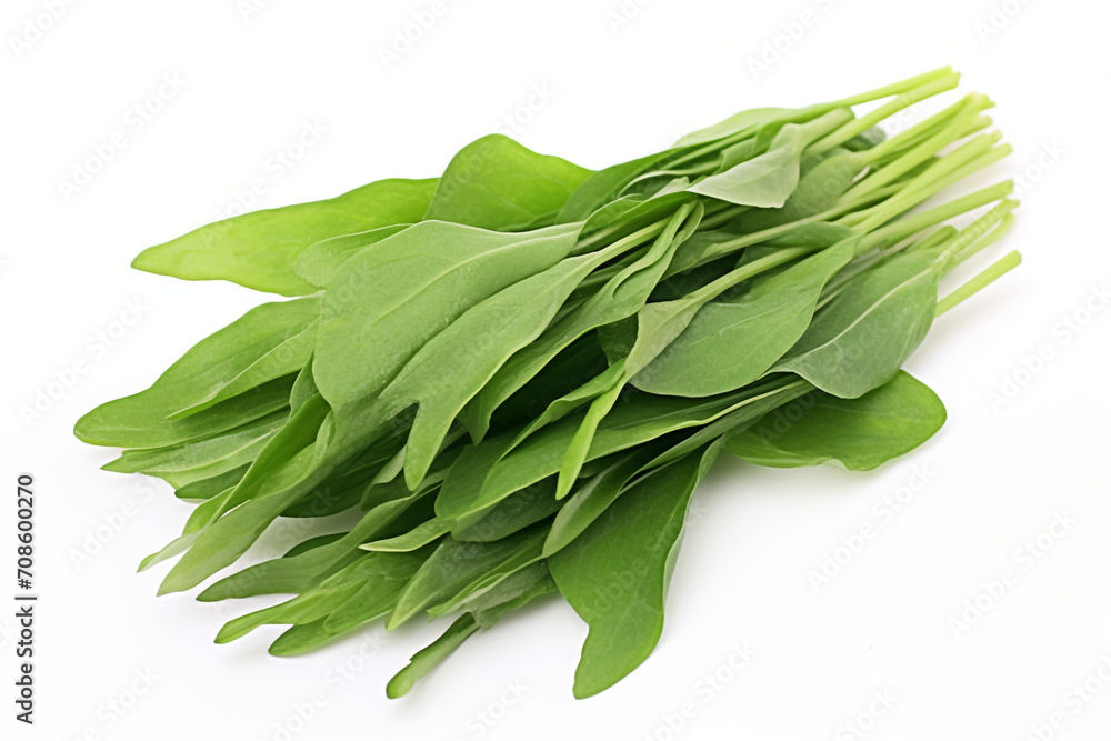 Water Spinach (Kangkong) isolated on white background created with ...