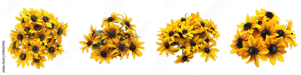 Black-Eyed Susan Flower Pile Of Heap Of Piled Up Together ...