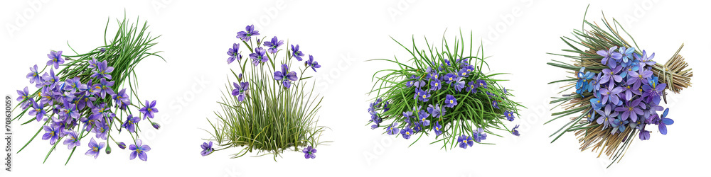 Blue-Eyed Grass Flower Pile Of Heap Of Piled Up Together Hyperrealistic ...