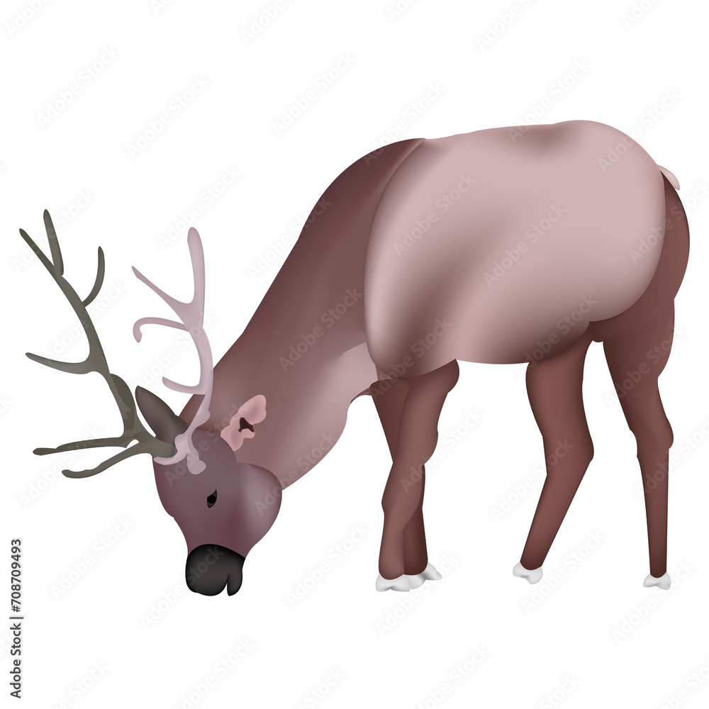 Beautiful deer, side view. The animal has horns, a head, a head, a ...