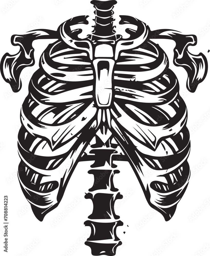 plano vectorial, tórax del esqueleto,stencil Stock Vector | Adobe Stock