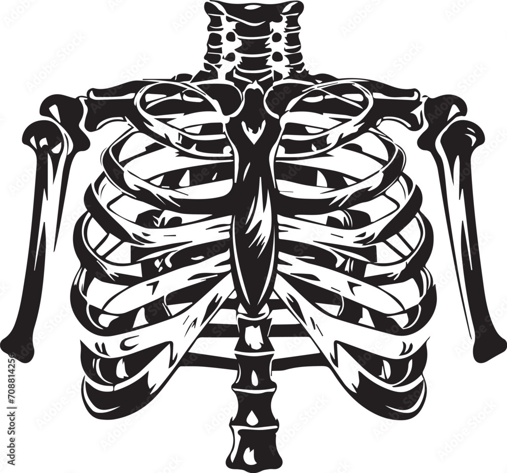 plano vectorial, tórax del esqueleto,stencil Stock Vector | Adobe Stock