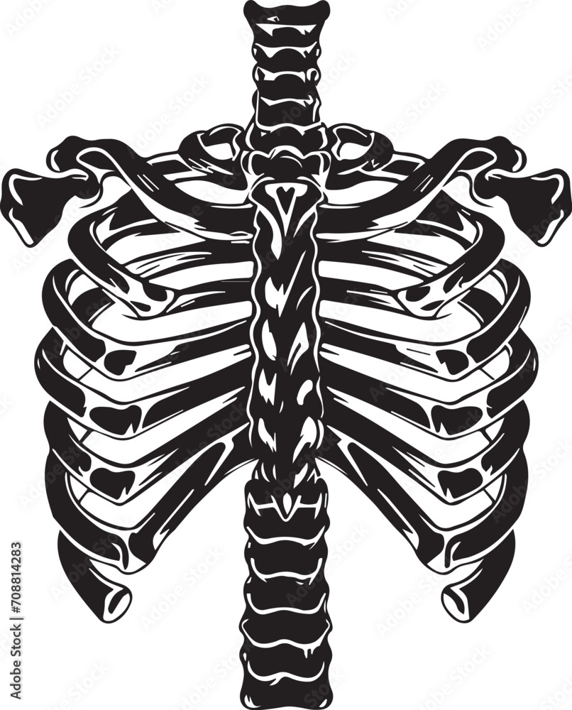 plano vectorial, tórax del esqueleto,stencil Stock Vector | Adobe Stock