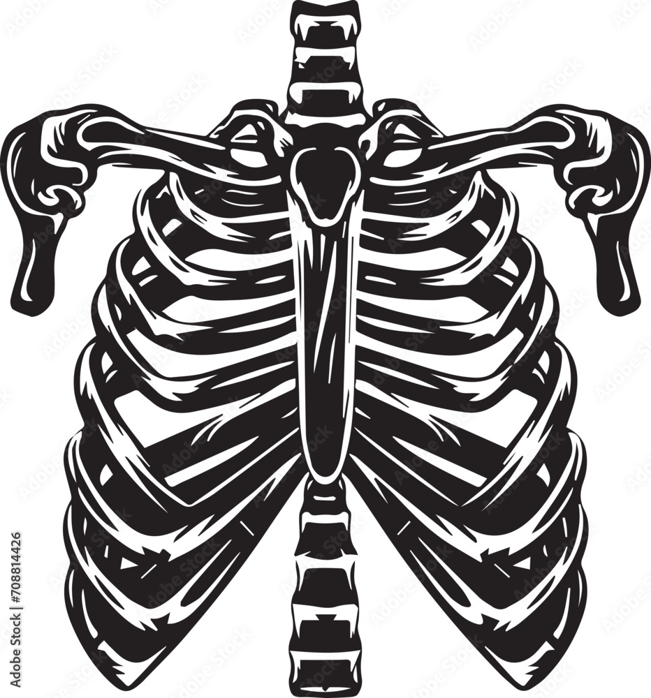 plano vectorial, tórax del esqueleto,stencil Stock Vector | Adobe Stock