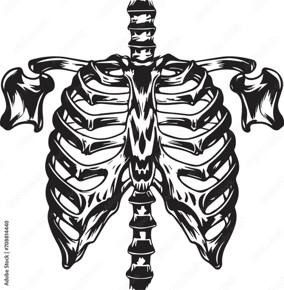 plano vectorial, tórax del esqueleto,stencil Stock Vector | Adobe Stock