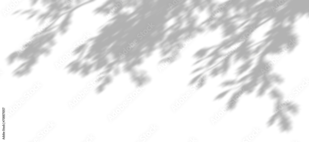 ภาพประกอบสต็อก Shadow spa leaves flowing movement isolate transparent ...