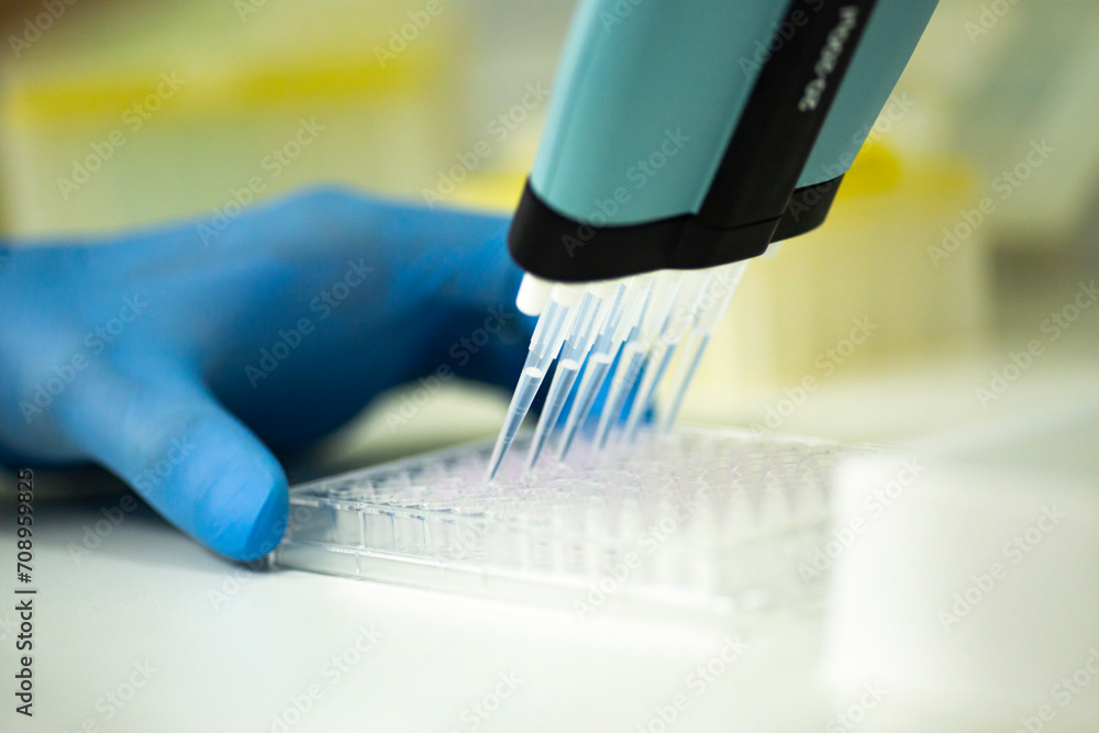geneticist working with microplate for cells analysis in the genetic ...