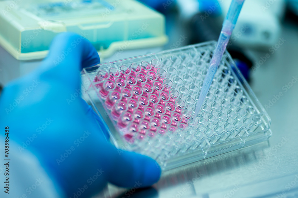 geneticist working with microplate for cells analysis in the genetic ...