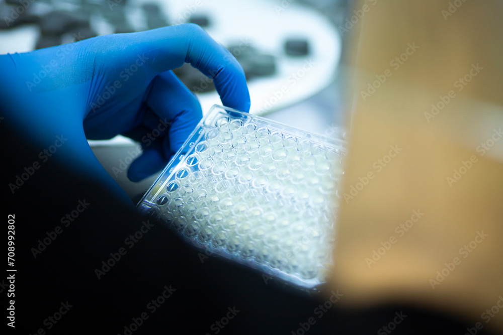 geneticist working with microplate for cells analysis in the genetic ...