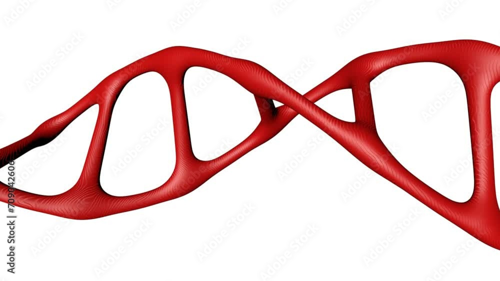 A red DNA molecule rotates on a white screen. Genetic information about ...