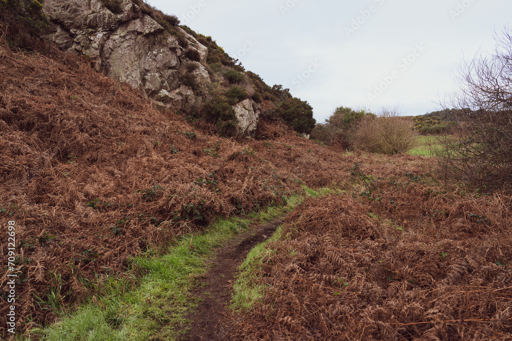 Trail and hike off purple loop on howth cliff path walk on the sutton ...