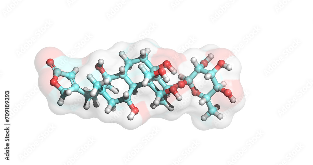 Ouabain, cardiac glycoside drug for congestive heart failure and ...