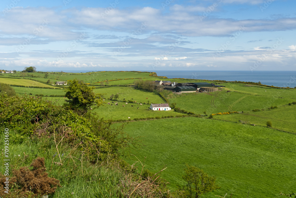 Blick über Höfe, Felder und Wiesen bis zur Klippe am Gobbins Cliff in ...