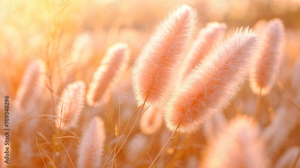 Horizontal illustration in trendy colors of 2024 peach fuzz with pampas ...