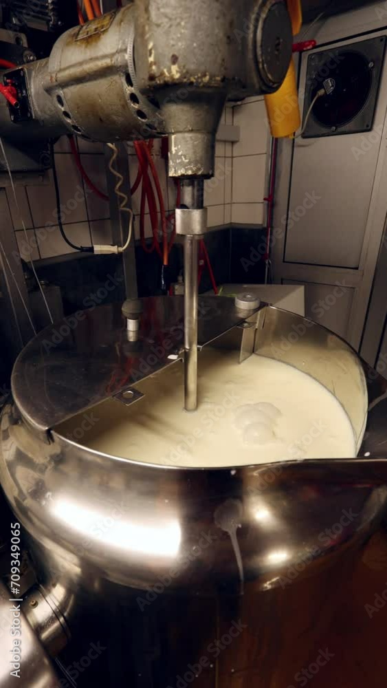 Vidéo Stock A large stainless steel cheese vat filled with milk ...