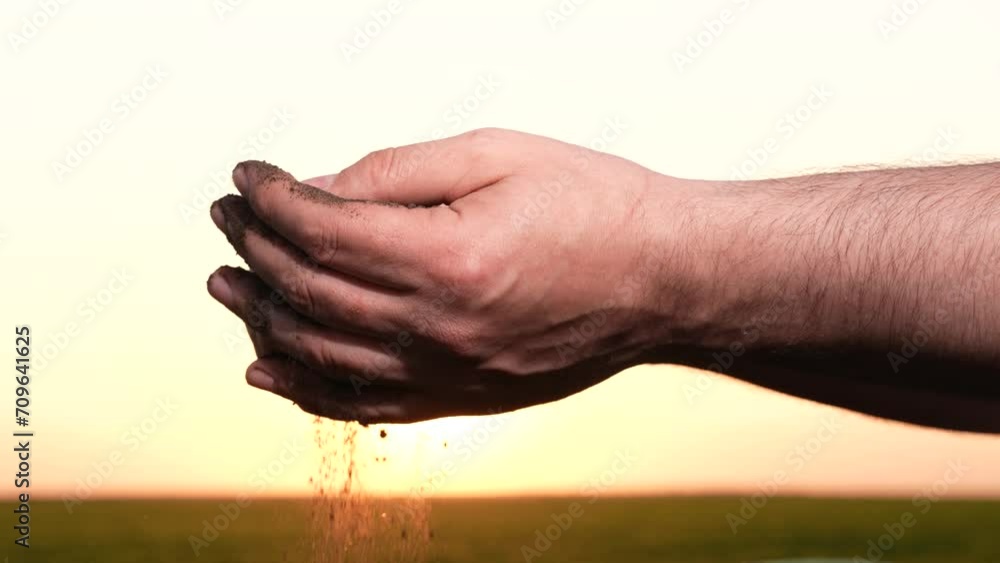 farmer hands fingers sprinkle soil soil sunset field. agricultural ...