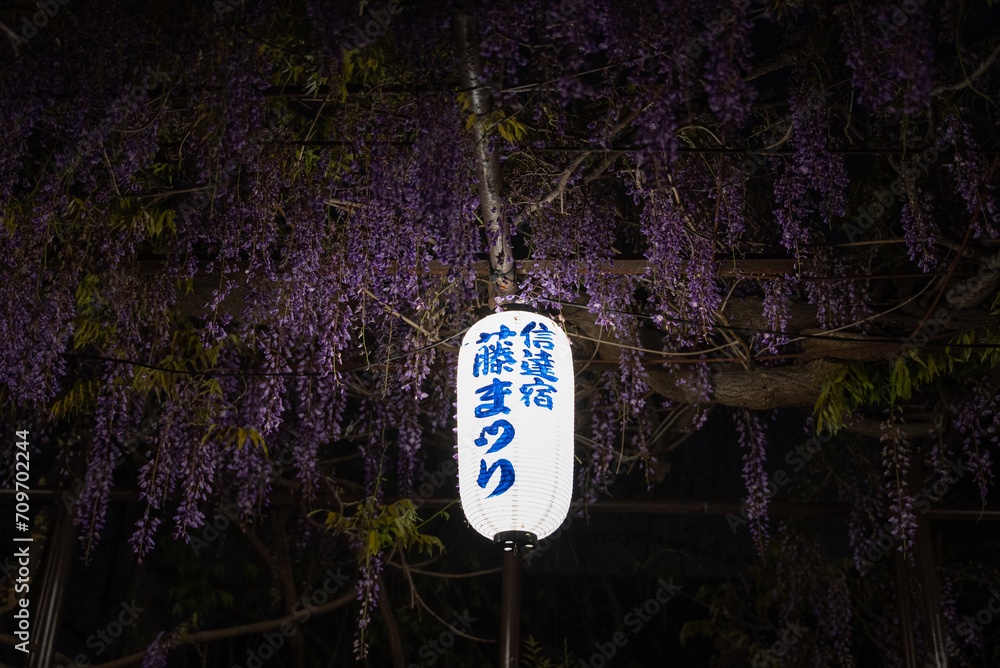 White paper lanterns with Japanese characters with spring flowers ...